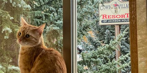 The Expanded Symplectic Structure Of Phase Space