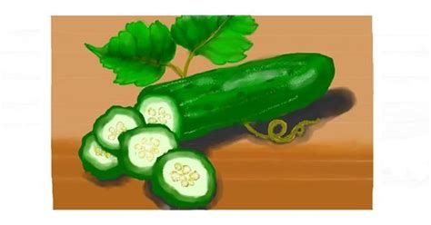 Drawing Of Cucumber By DebbyLee Drawize Gallery