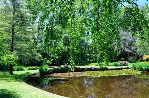 Gardens To Visit Kakahu Garden