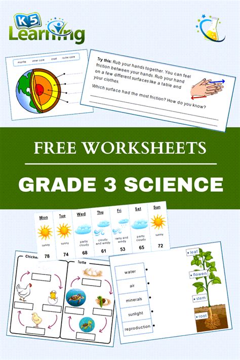 Grade 3 Science Worksheet Digital Worksheets Library