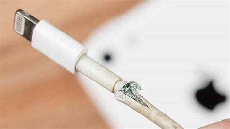 为什么iphone数据线又贵又容易坏？ 时差视频 梨视频官网 Pear Video 梨网站