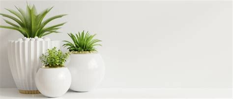 Какие цветы должны быть дома обязательно фото и название