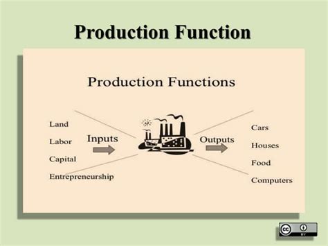 Production Function Ppt Pptx