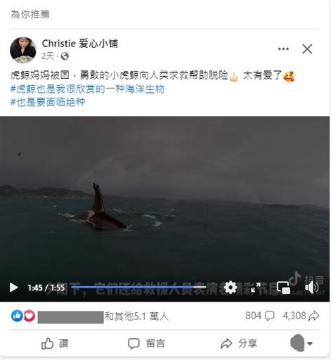 About鯨豚 ╠抖音影片事實查核╣虎鯨媽媽被困，勇敢的小虎鯨向人類求救幫助脫險？20230621上個月，臉書推薦給我一個影片