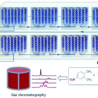 Continuous Flow Reactor Setup For The Optimal Process Download Scientific Diagram