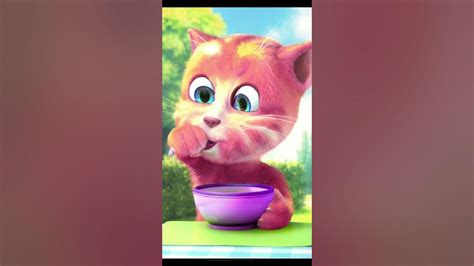 Talking Ginger Shorts Shortvideo Talkingginger Talkingginger2 Youtube