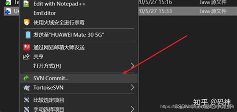 初入职场svn使用教程,保姆级 Csdn博客 初入职场svn使用教程,保姆级 Csdn博客