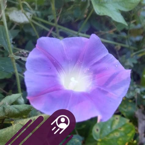 Crédito Takuwoodcraft Carpinteria Diseño Muebles Madera Diseño Y Carpintería Persa