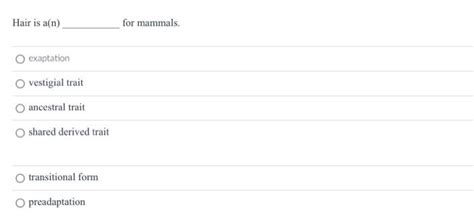 Solved Hair Is A N For Mammals Exaptation Vestigial Trait