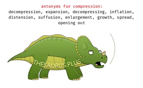 46 Compression Antonyms Full List Of Opposite Words Of Compression