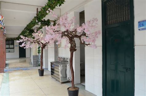 未雨绸缪消除隐患 洛阳国际学校开展开学前全面工作大检查 新闻速递 洛阳理思实验学校原洛阳国际学校