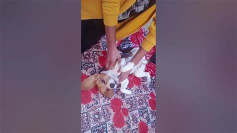 Massage Time Youtube