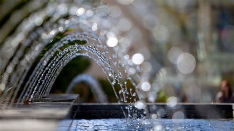 How To Reduce Traffic Noise In The Backyard