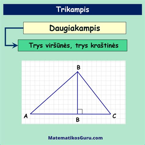 Trikampio Plotas Skaičiavimas Pavyzdys Matematikos Guru
