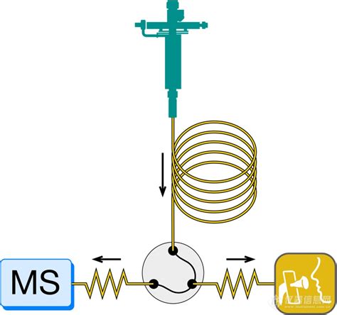 Gc Ms O分析银杏外果皮气味成分 仪器信息网社区