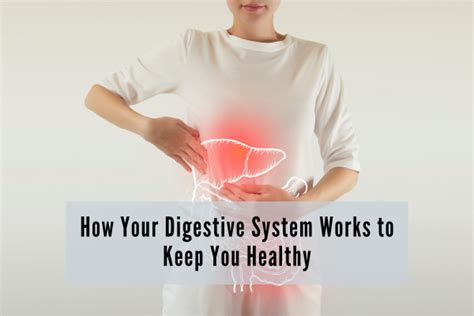 10 Fascinating Digestive Health Facts
