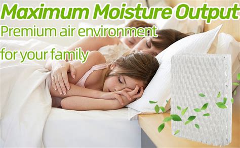 6 Pack Wf813 Humidifier Filter Replacement Compatible With Equate Eqwf813 Eq 2119