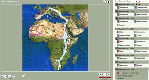 White Stork Migration As Tracked By Satellite Download Scientific