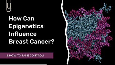 How Can Epigenetics Influence Breast Cancer Breast Cancer Conqueror