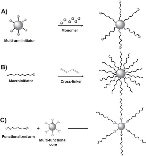 Figure 2 From Nano Star Shaped Polymers For Drug Delivery Applications