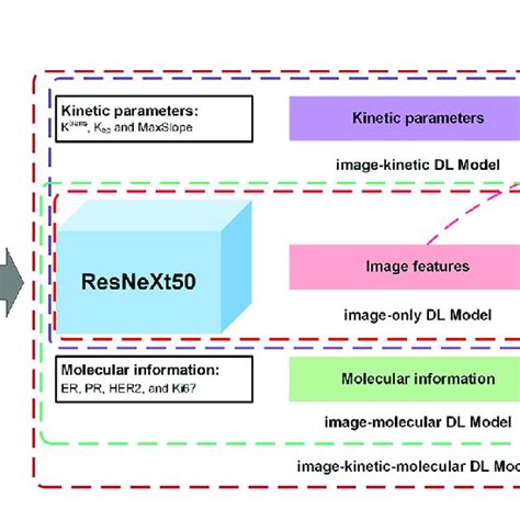 The Framework For Building Deep Learning Based Predictive Models Download Scientific Diagram