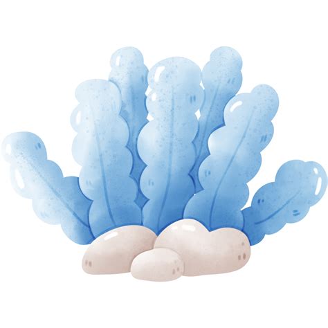 Watercolor Sea Coral 11288338 Png