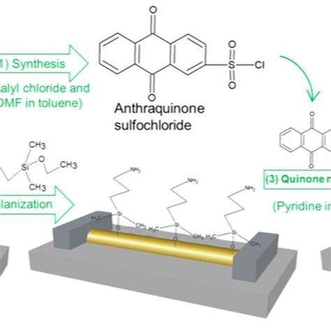 Surface Modification Of Sinw Fets For H 2 O 2 And Ph Sensing