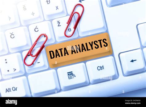 Conceptual Caption Data Analysts Concept Meaning Programmer Design And Create Report Identifies