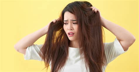 Óleo Para Cabelo Ressecado Descubra Os Benefícios E Uso Loréal Paris