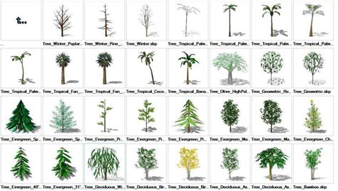 Detail 3d Tree Sketchup Koleksi Nomer 41