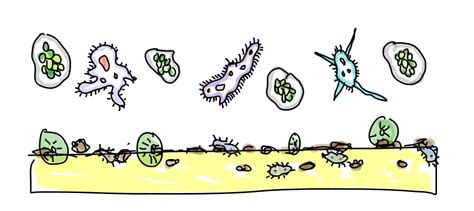 What Is Biofouling And How Can We Stop It Odf Sweden