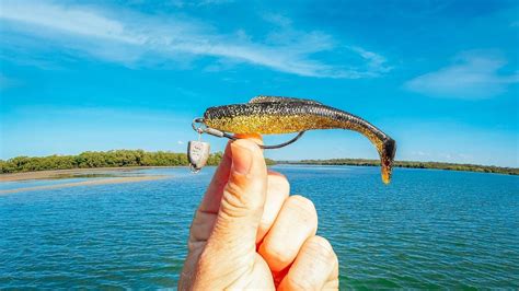 This Lure Makes Fishing Easy Youtube