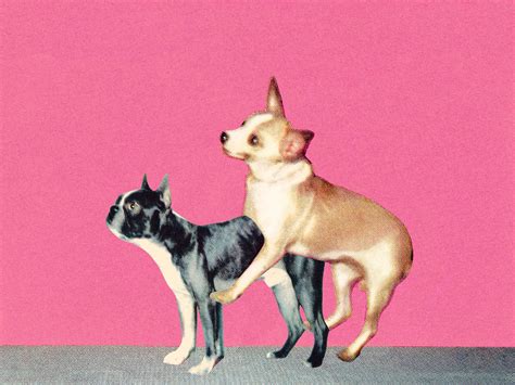 A Brief History Of Sex On The Internet Itechment