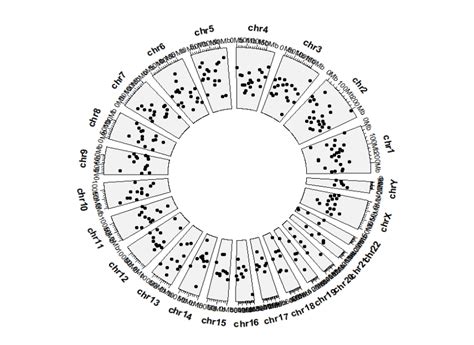 Chapter Geom Genomic Track Layers Ggcirclize Reference Book