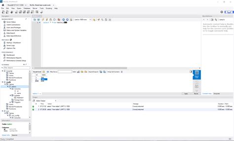Mysql JDBC ExecuteQuery Returns Empty ResultSet Even Though There Is