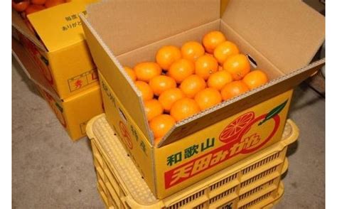 先行予約【2025年11月下旬より発送】濃厚温州みかん贈答用10kg（和歌山天田みかん）みかんの産地和歌山 北村農園直送 和歌山県印南町