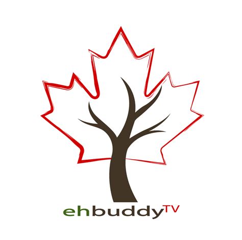 A Fun And Friendly Buddy Network