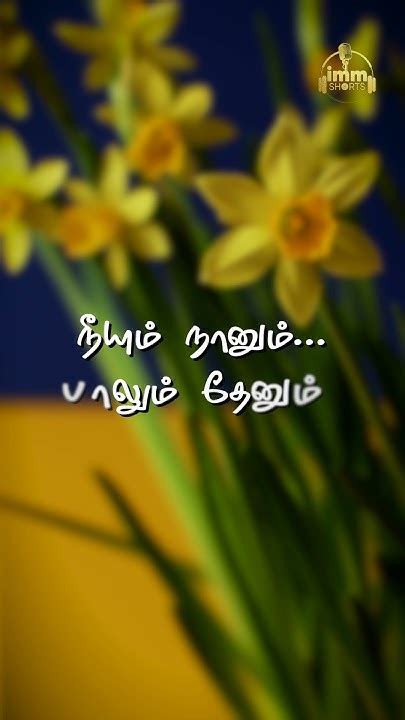 முத்து மேனி தான் 😍 Thendral Kaatre Ilaiyaraaja Youtube