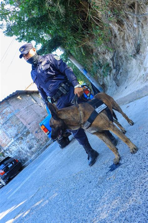 Diario El Salvador On Twitter Depaís Agentes De La Pncsv También