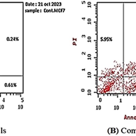 Compound 14 Induced Apoptosis In Mcf 7 Cells A Control And B