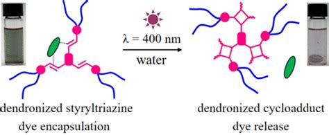 Visible Light 2 2 Cycloadditions Of Thermoresponsive Dendronized