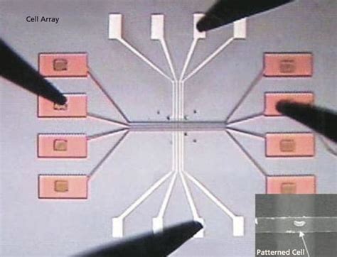 Magnetic Random Access Memory Integrated Passive Components Mobility