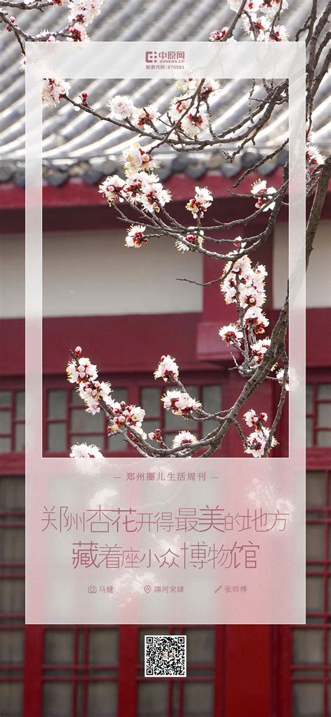中原网 国家一类新闻网站 中原地区最大的新闻门户网站