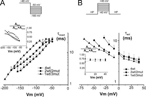 Time Constant Of Activation And Deactivation A Deactivation Time