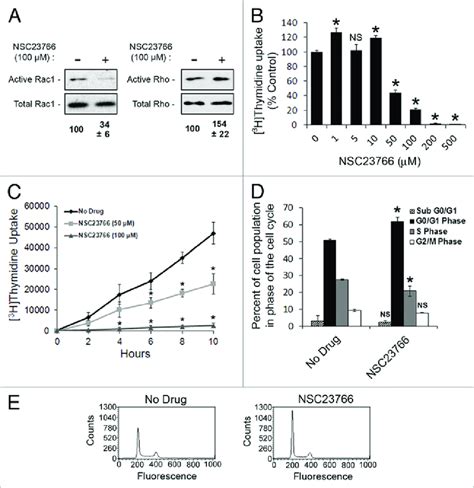 Pharmacological Inhibition Of Rac1 Decreases Proliferation And Slows