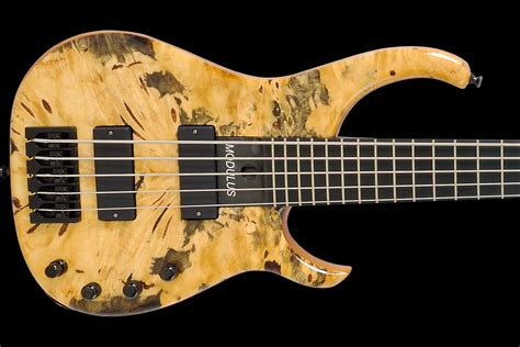 Modulus Bass Quantum 5 Buckeye High End Bass Guitarsplanet Bass