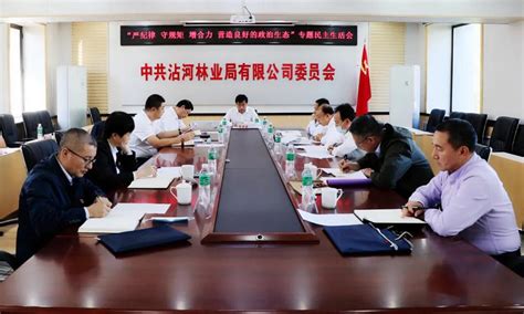 中国龙江森林工业集团有限公司沾河林业局有限公司党委召开“严纪律、守规矩、增合力，营造良好的政治生态”专题民主生活会