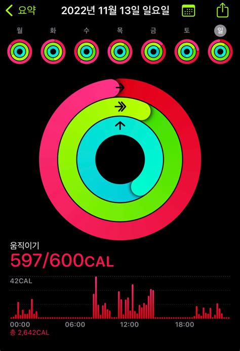 아이폰 피트니스 지식in