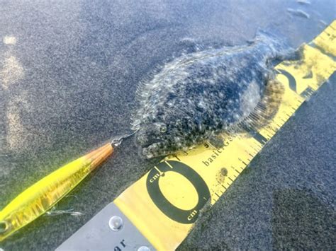 遠州サーフ真昼間でも釣れます フィッシング遊