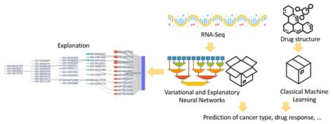 Dyna Disease Specific Language Model For Variant Pathogenicity Ai